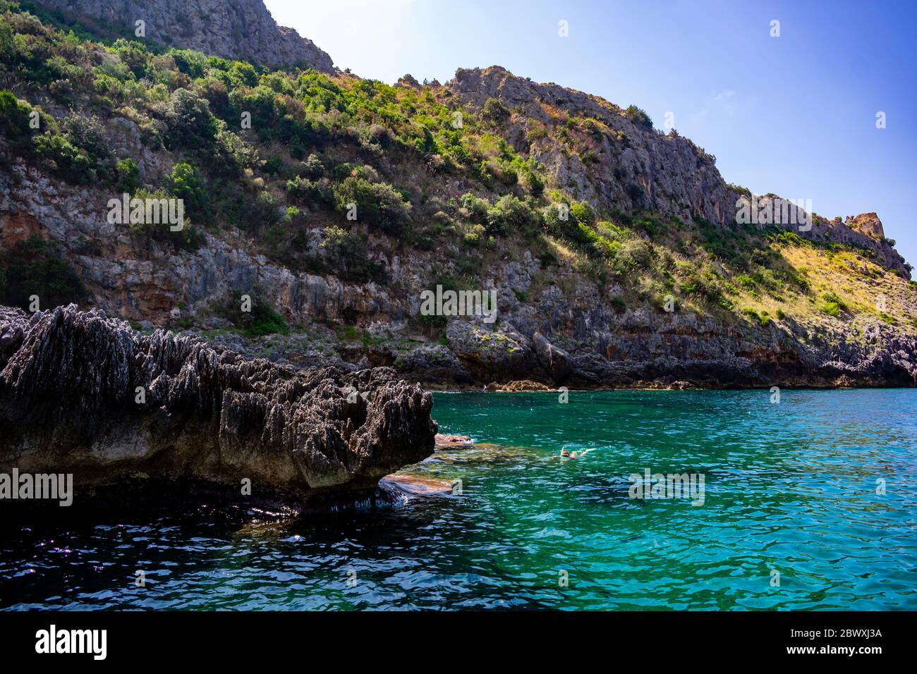 Masseta hi-res stock photography and images - Alamy