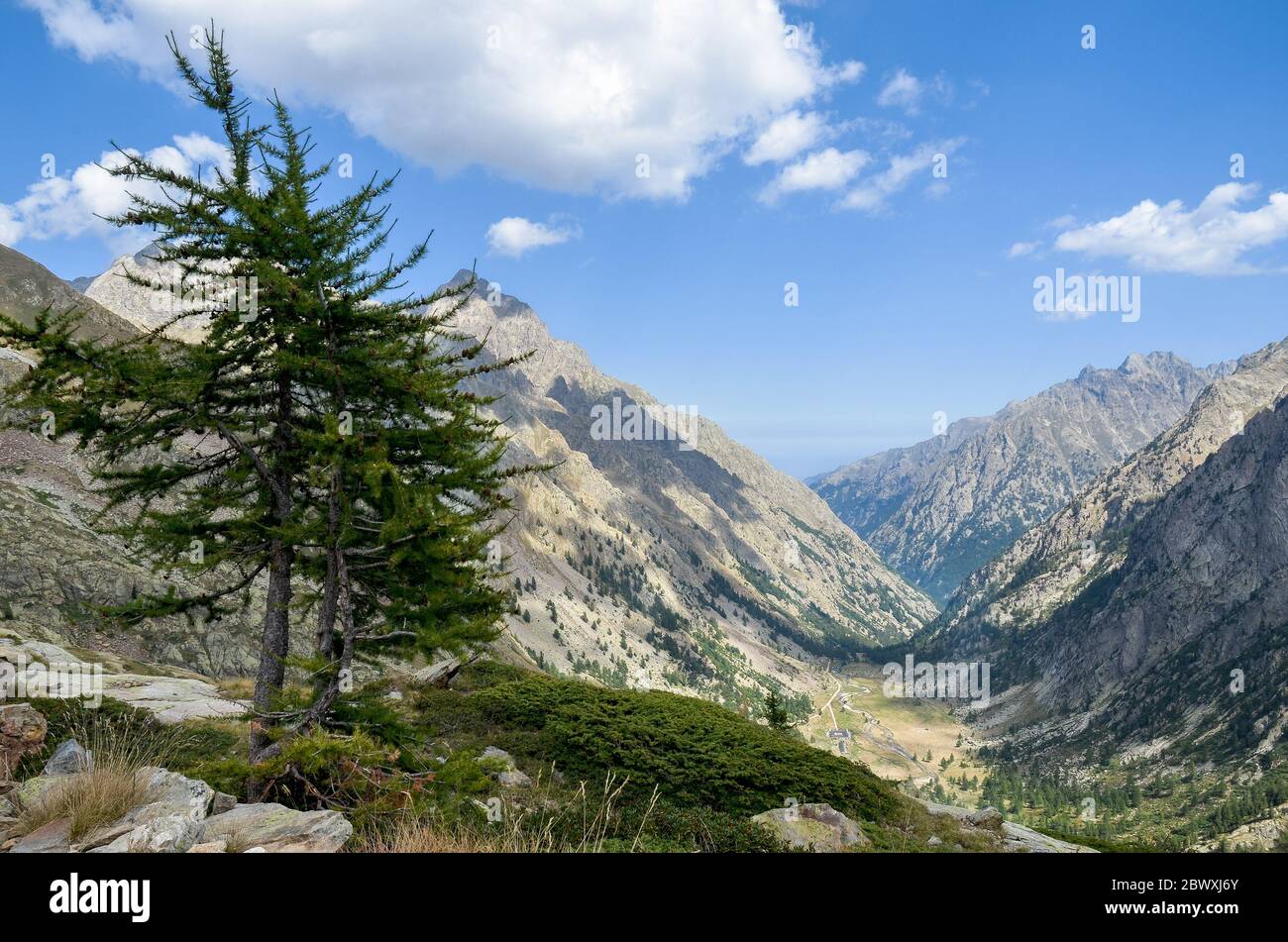 Mountain plateau and valley with tree Stock Photo - Alamy