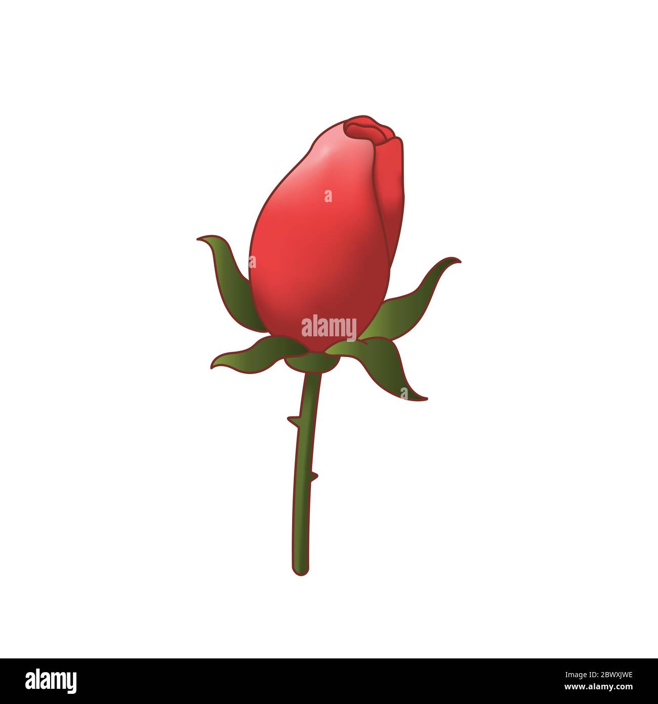 Red rose isolated. Vector illustration Stock Vector Image & Art - Alamy