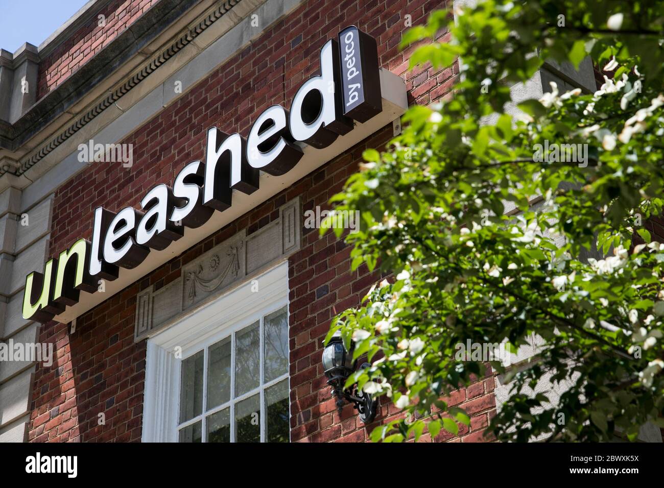 Petco Unleashed Logo Marshall's Shoe Shop, Unleashed By PetCo, And