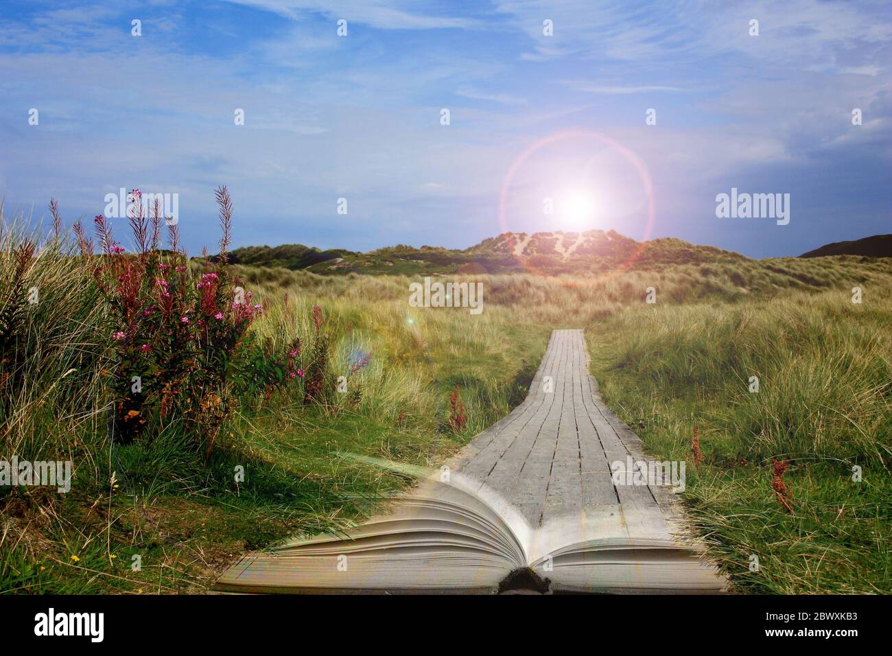 Collage of photos of green rural landscape with wooden path with light ...