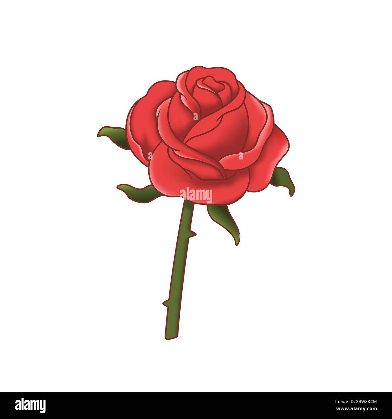 Red rose isolated. Vector illustration Stock Vector Image & Art - Alamy