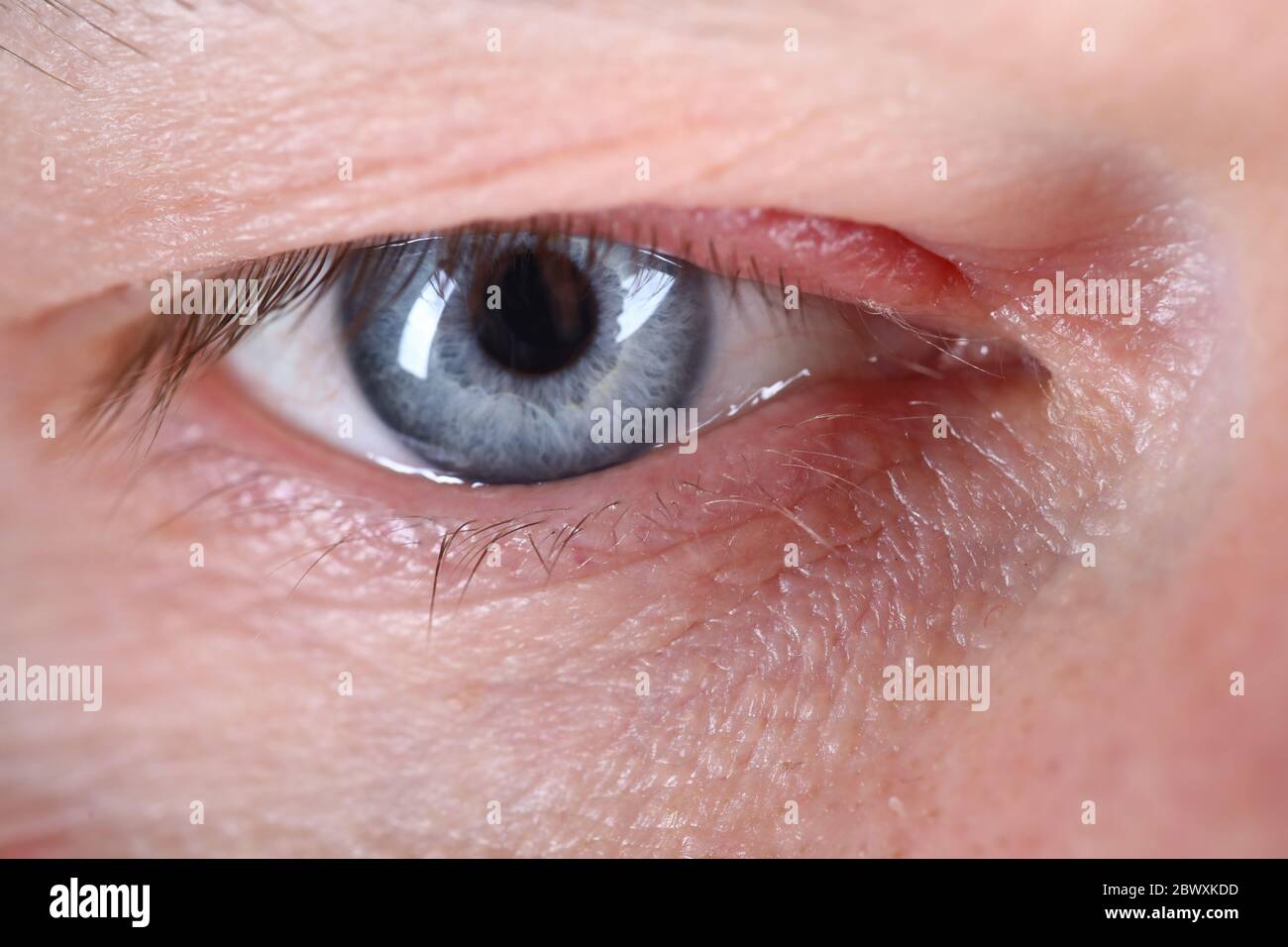 Contented gaze man, close up human eye European Stock Photo - Alamy