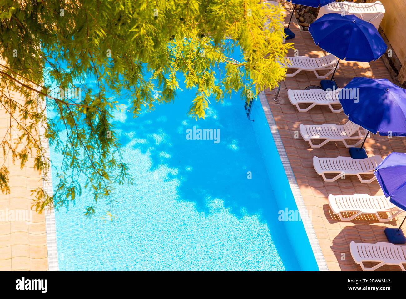 Outdoor swimming pool with green tree and chaise-lounges Stock Photo ...