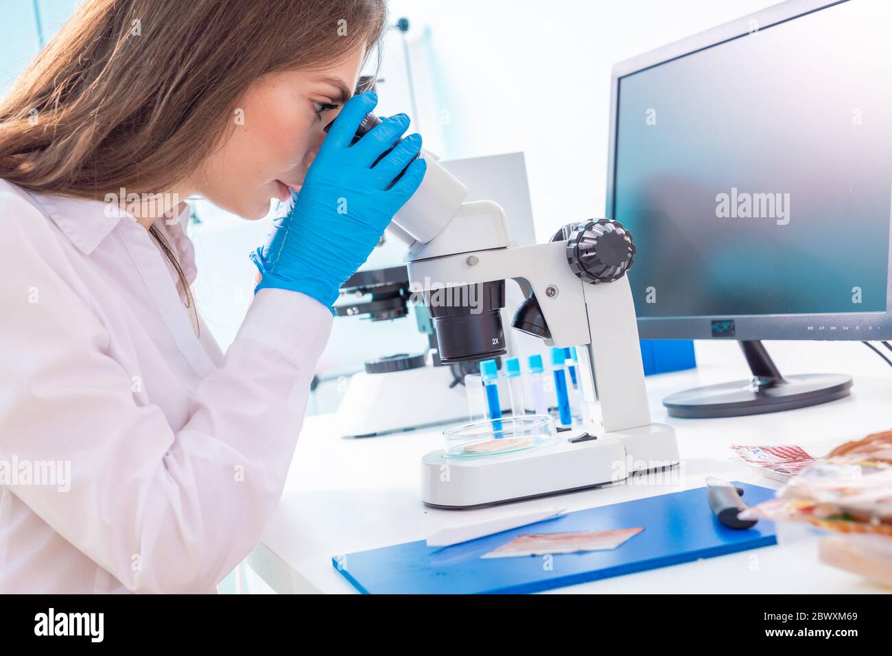 Inspection of meat and fish quality in the food quality laboratory ...