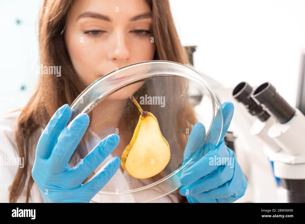 Inspection of the quality of vegetables and fruits in the laboratory of ...