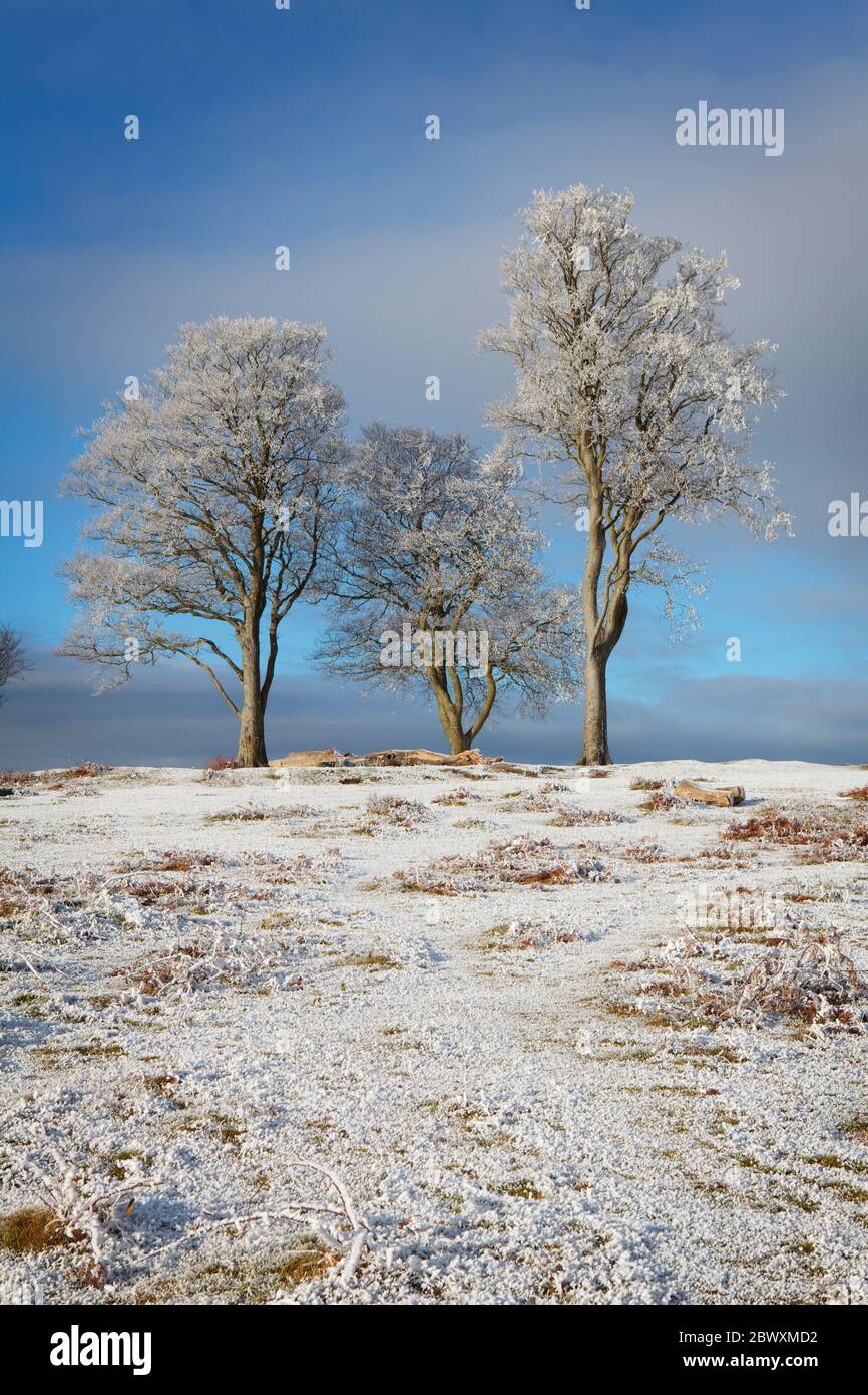 Cothelstone hi-res stock photography and images - Alamy