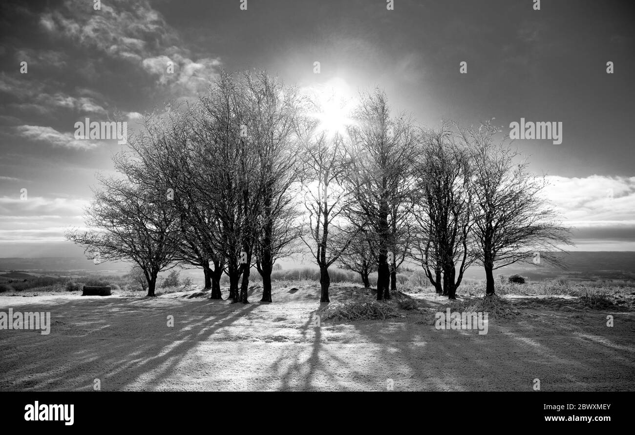 Frost hoar Black and White Stock Photos & Images - Alamy