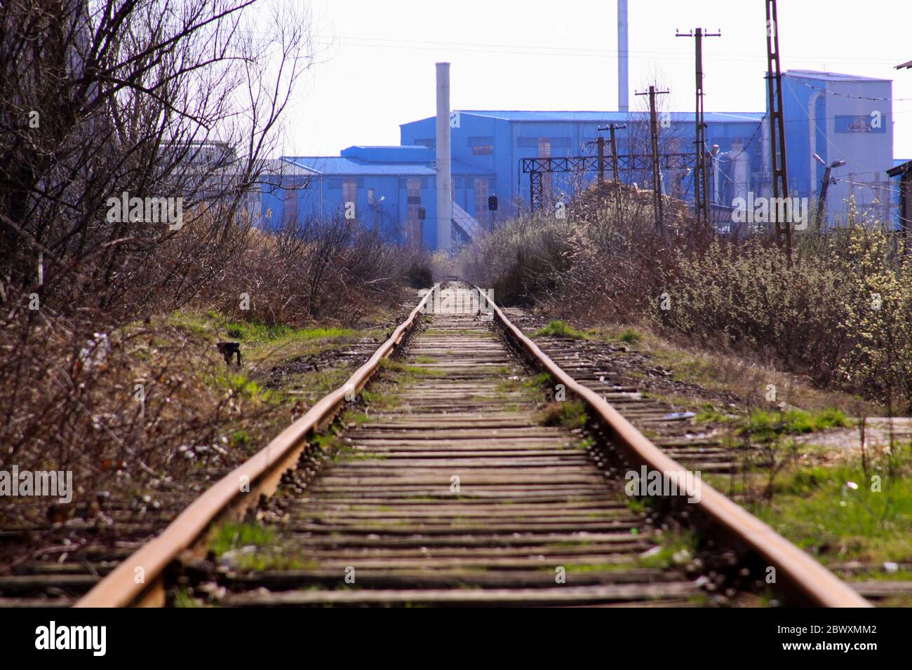 Industrial era railroad train hi-res stock photography and images - Alamy