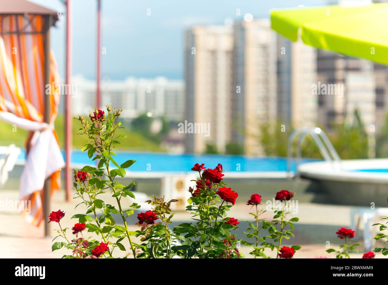 Outdoor swimming pool on beautiful cityscape background luxury scene ...