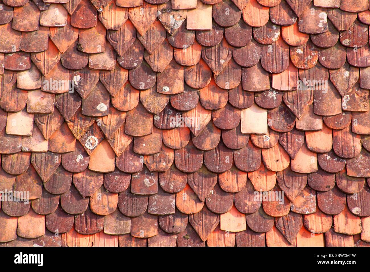 Terracotta Tiles Texture