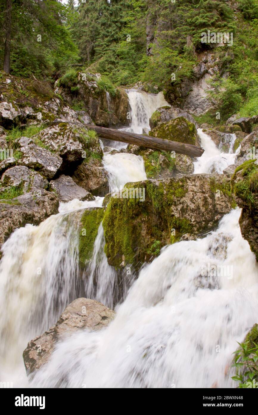 River forming waterfalls in Cetatile Ponorului, Apuseni Natural Park ...