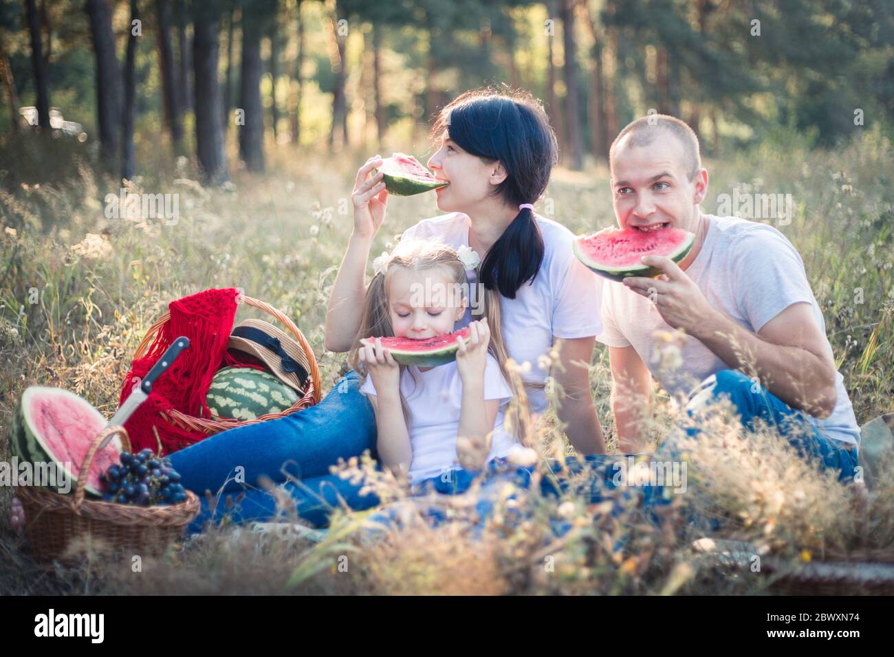 Watermelon family hi-res stock photography and images - Alamy
