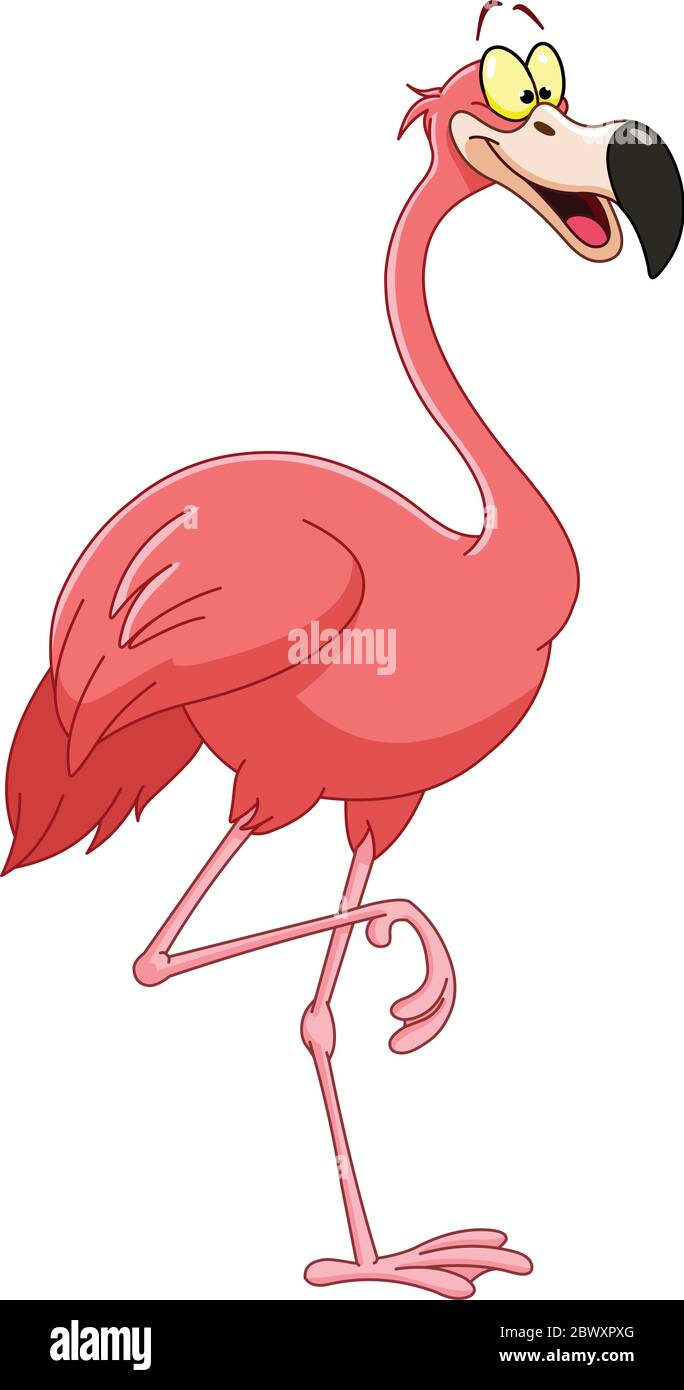Flamingo cartoon hi-res stock photography and images - Alamy