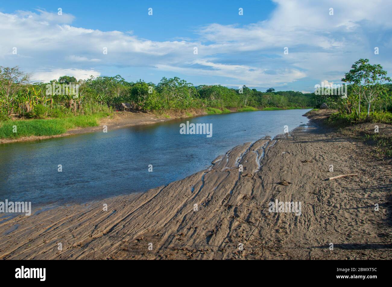 View of the Choroyacu Creek, a tributary of the Maranon River in the ...
