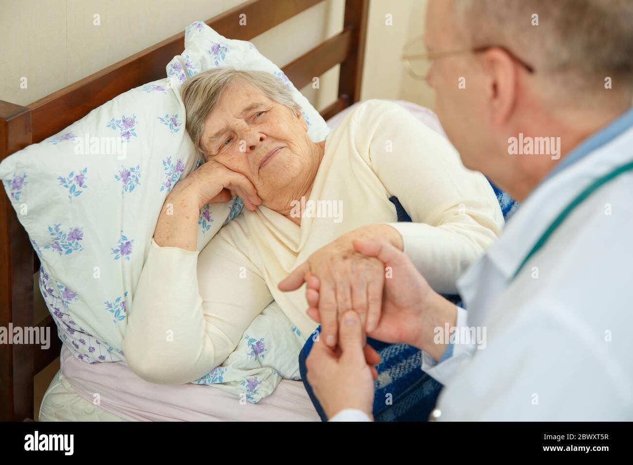 The family doctor communicates with a sick elderly woman. Home doctor ...
