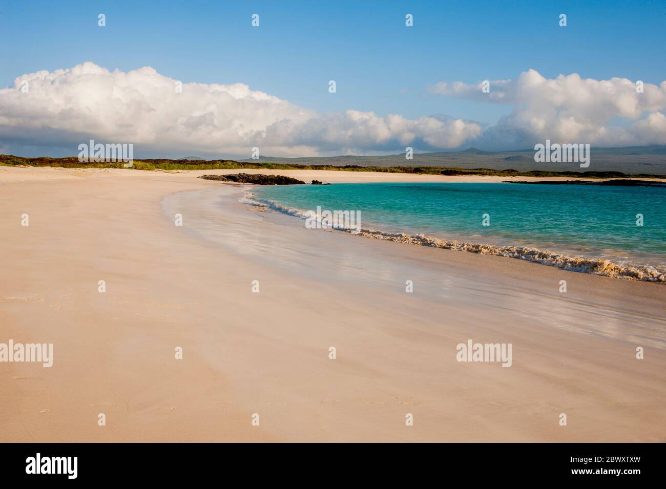 The white sand beach of Cerro Brujo beach on San Cristobal Island (Isla ...