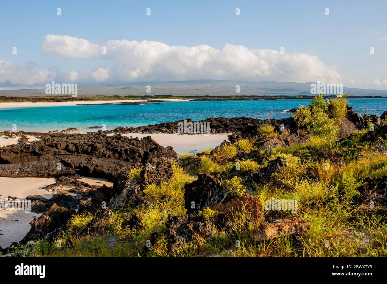 Cerro Brujo beach on San Cristobal Island (Isla San Cristobal) or ...