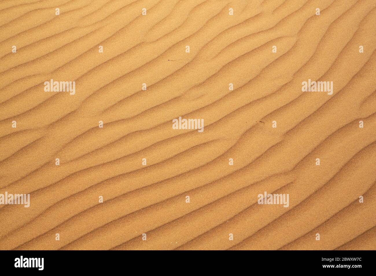 Texture ripple ripples desert hi-res stock photography and images - Alamy