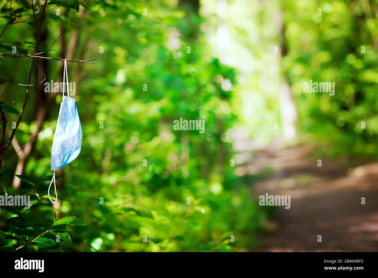 Protective face medical mask is hanging on a branch of bush on a ...