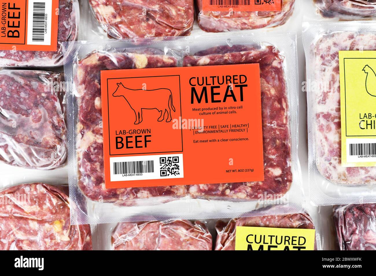 Frozen Coolers Collection – Survey.com Support