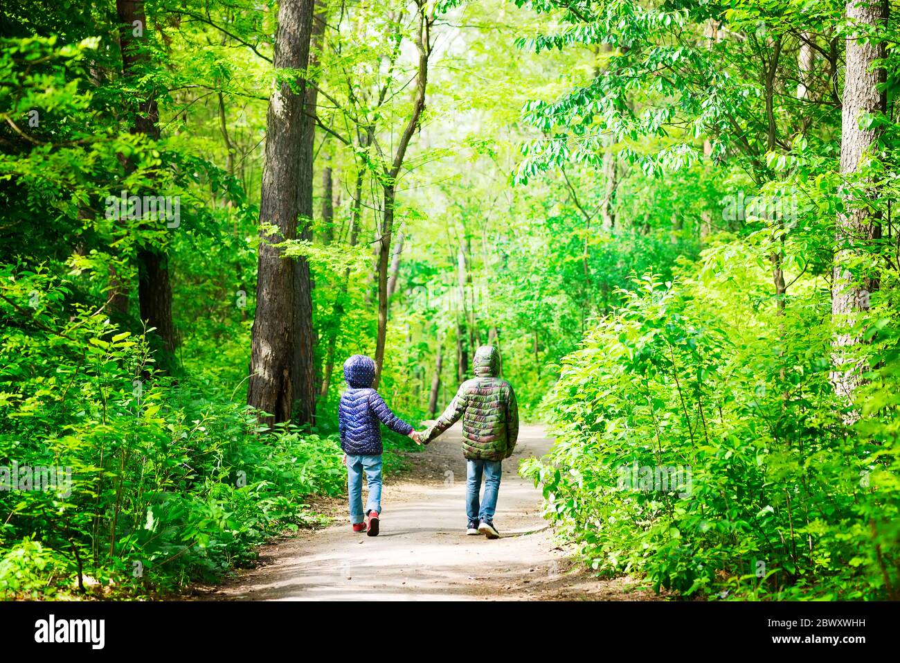 Children in tree bushes hi-res stock photography and images - Alamy