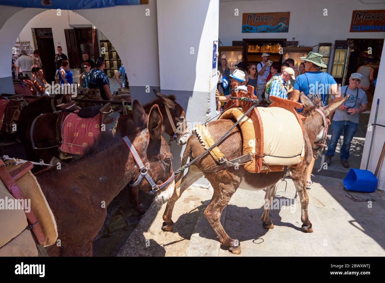 Donkeys in lindos rhodes hi-res stock photography and images - Alamy