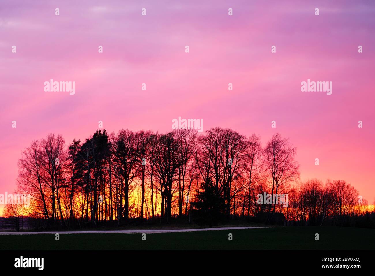 Beautiful field trees sunset spring hi-res stock photography and images ...