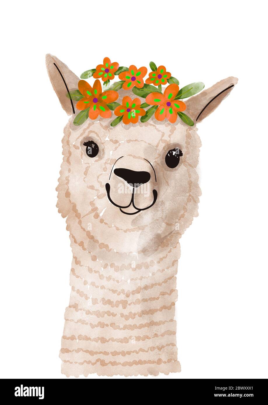 Laughing Alpaca