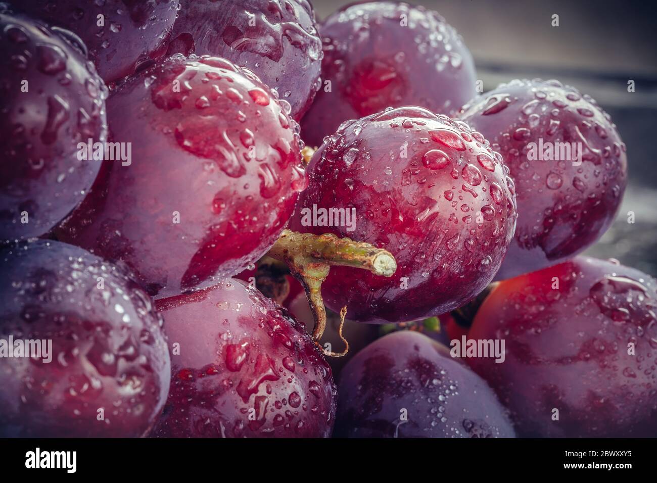A purple grape cluster closeup Stock Photo - Alamy