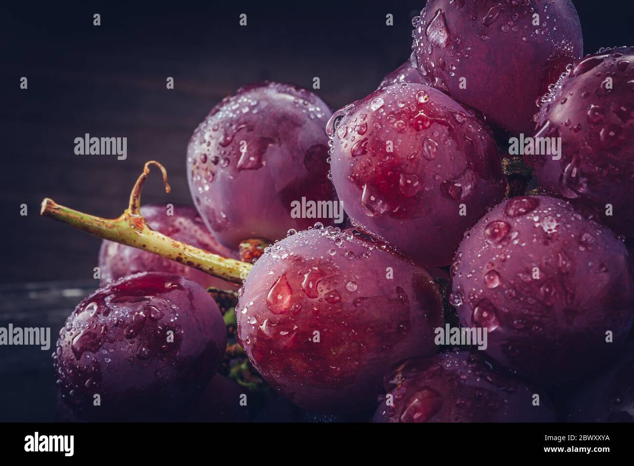 Macro photography of fresh, dark red grapes with water splashes on dark ...