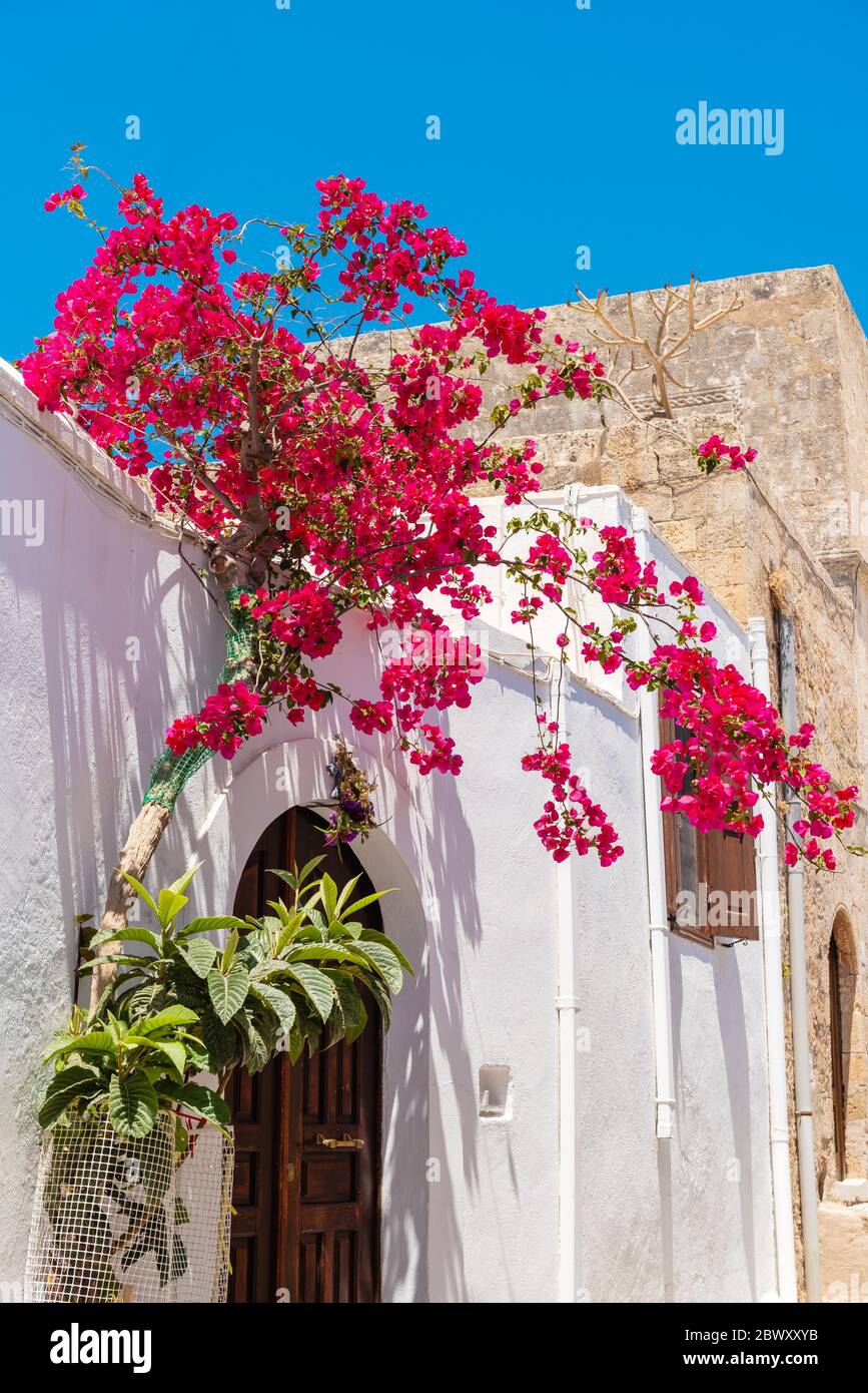 Traditional greek house with spring flowers on Rhodes island. Lindos ...