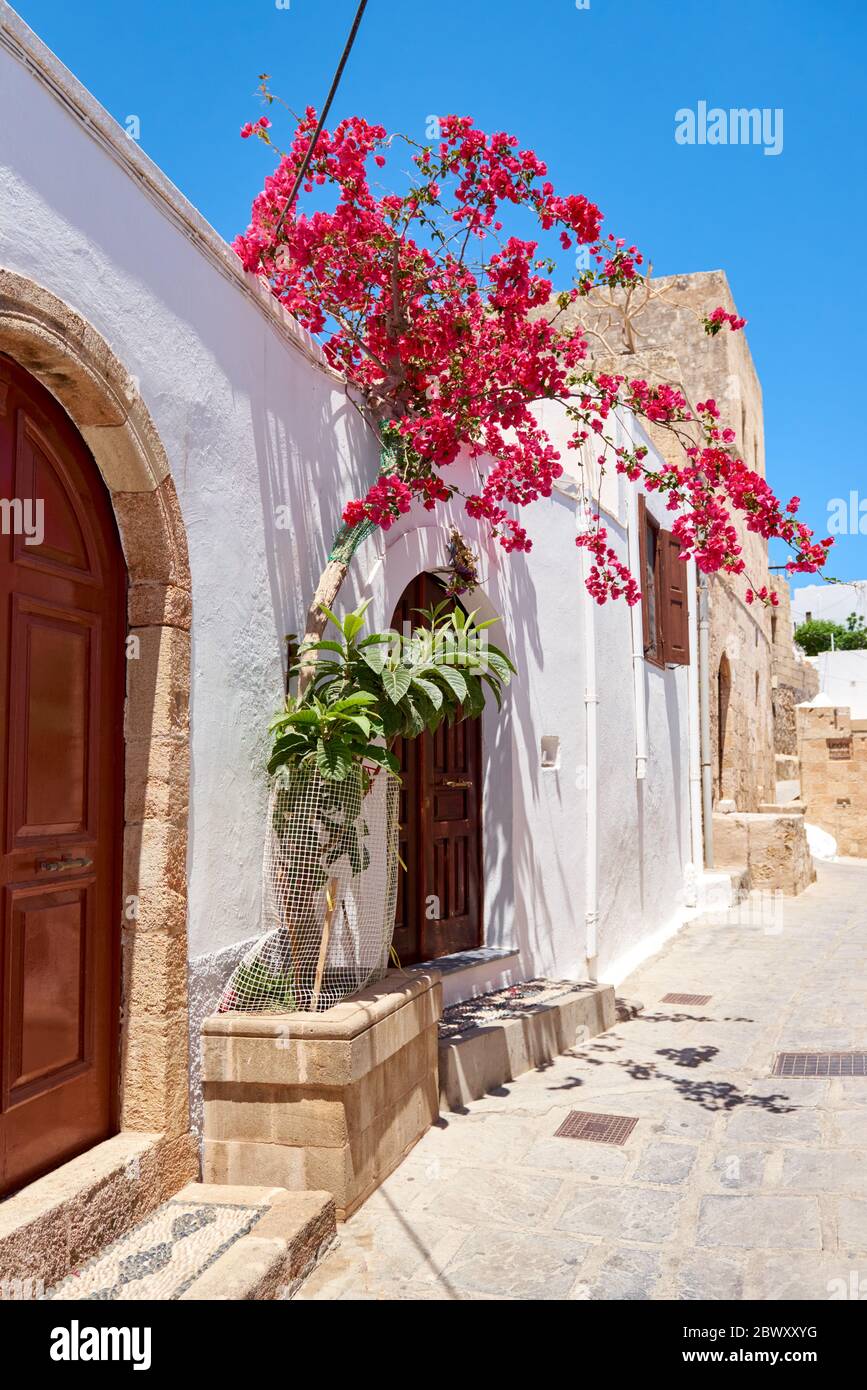 Greek street with spring flowers on Rhodes island. Lindos village ...
