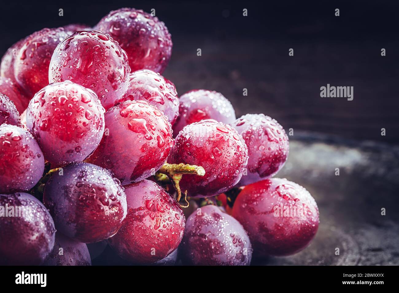 Close-up of fresh, dark red grapes with water splashes on dark ...