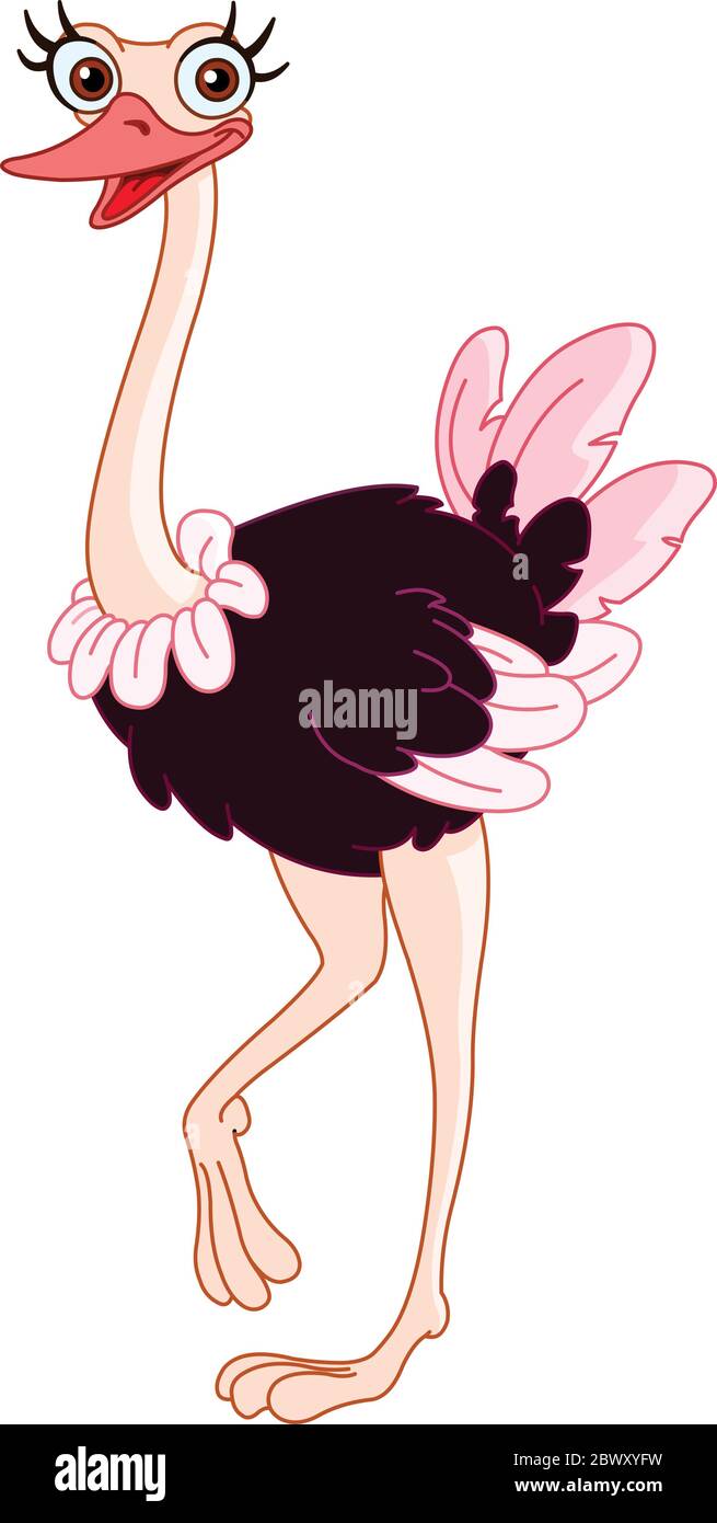 Ostrich cartoon hi-res stock photography and images - Alamy
