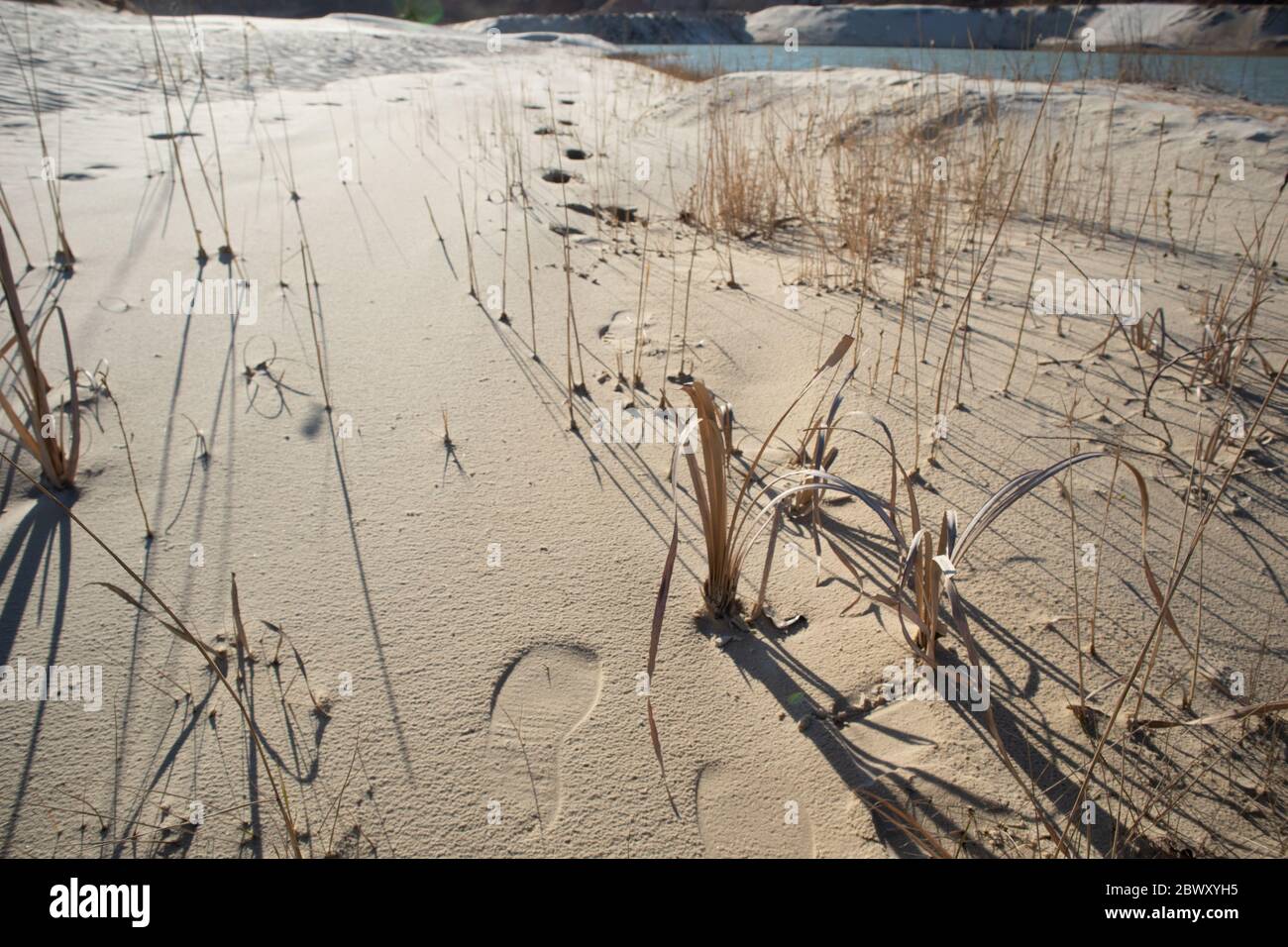Footprints in the sand. A lot of sand. Desert landscape Stock Photo - Alamy