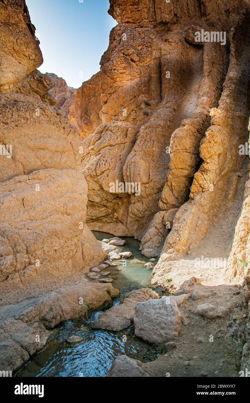 Oasis in the middle of Sahara Desert Stock Photo - Alamy