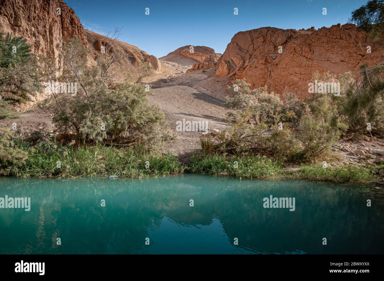 Oasis in the middle of Sahara Desert Stock Photo - Alamy