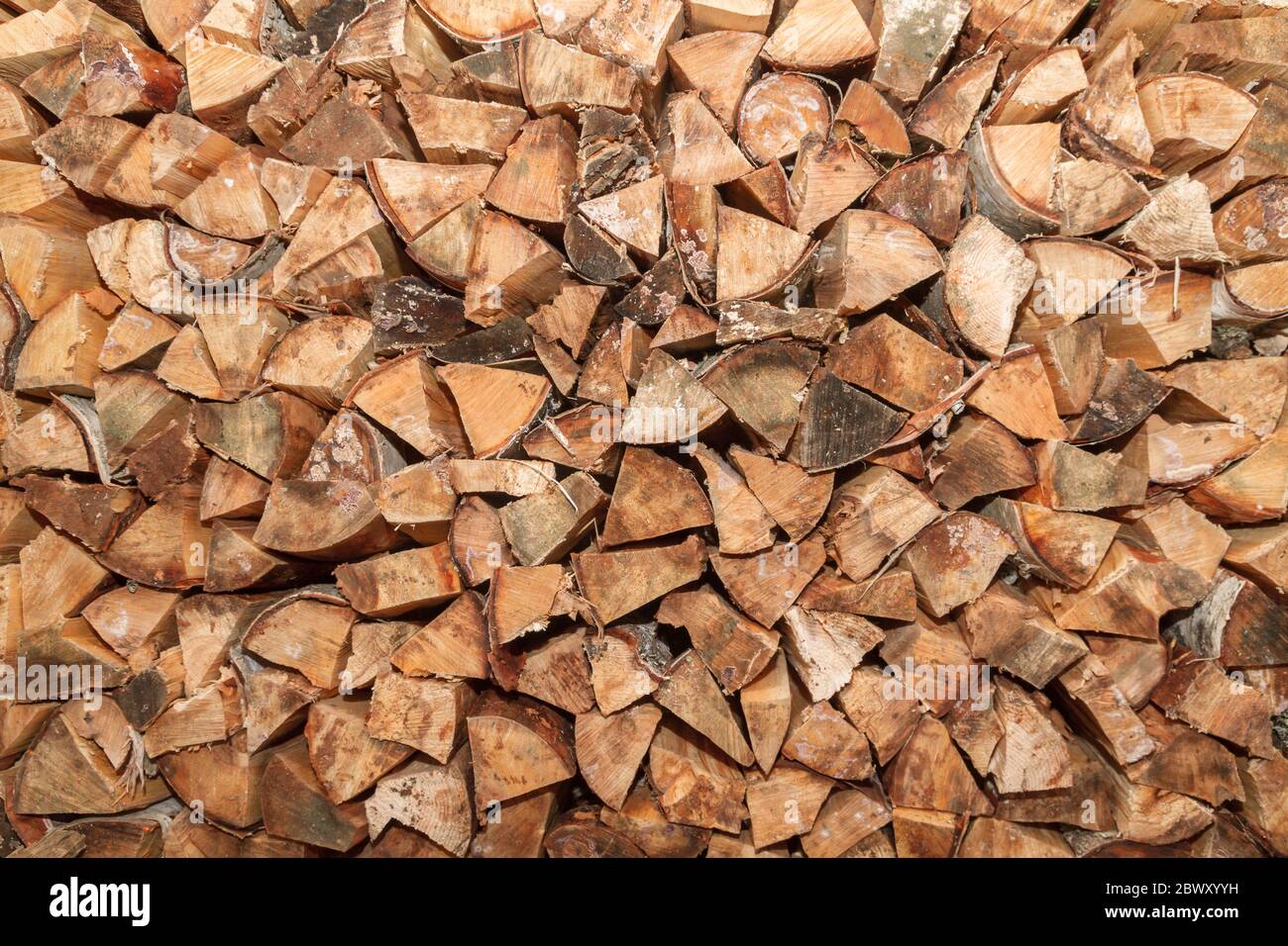 Pinned birch wood are in a pile in drevenice Stock Photo - Alamy