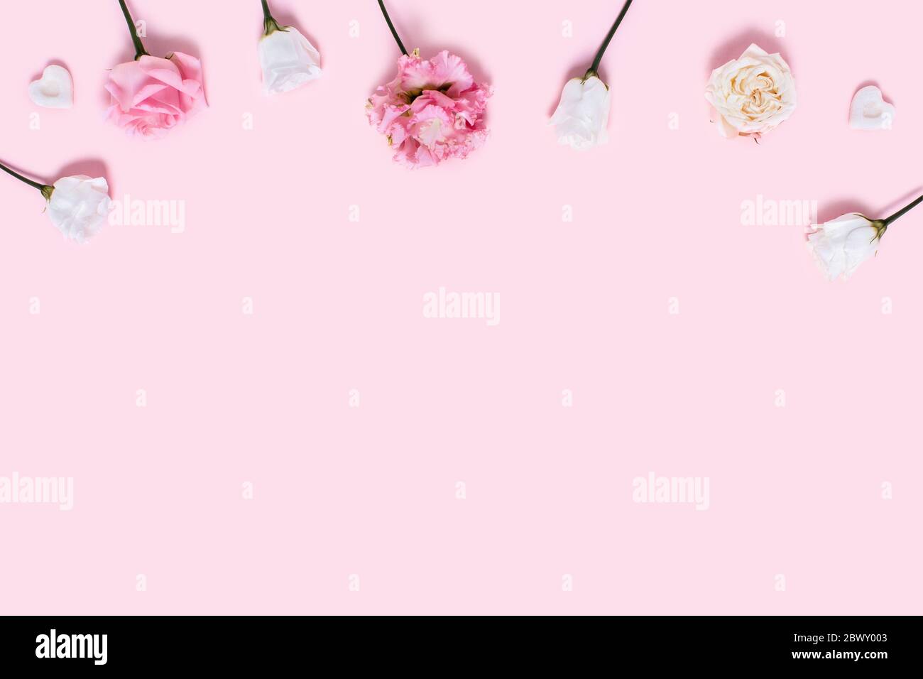 Holiday card. Horizontal pink background with flowers Stock Photo - Alamy