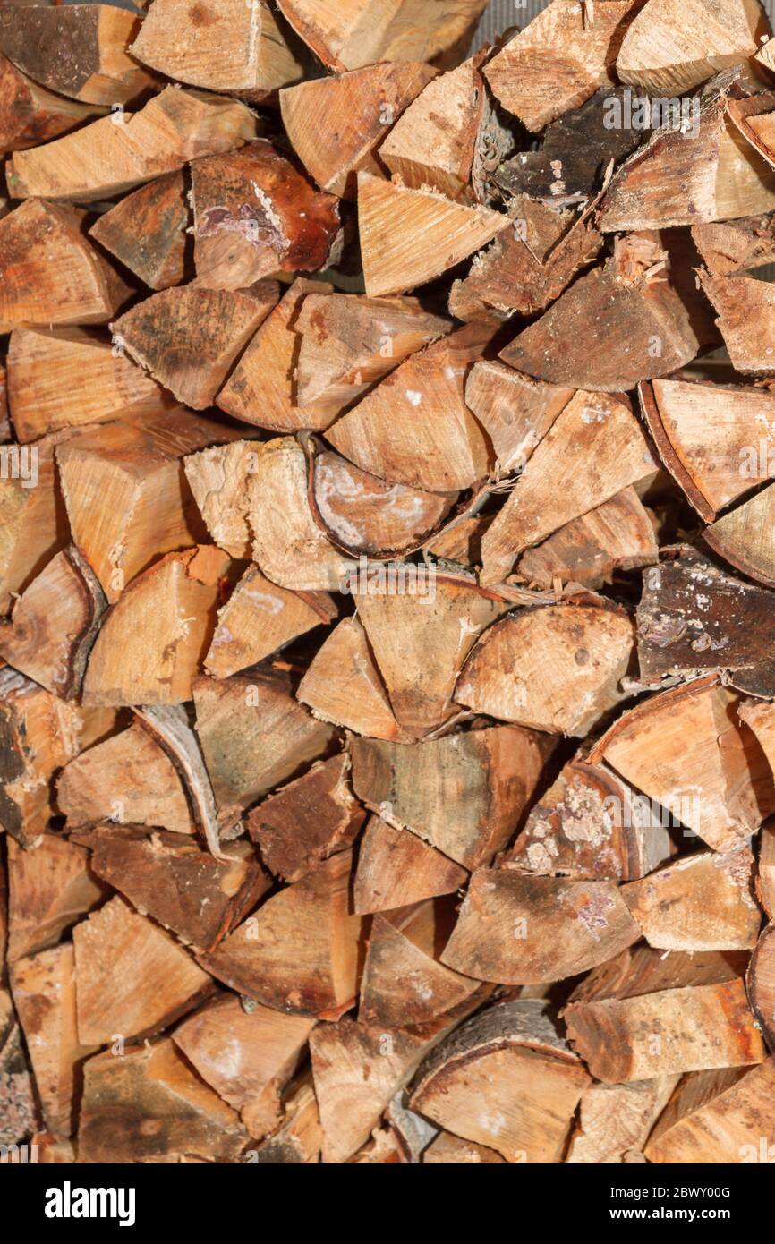 Pinned birch wood are in a pile in drevenice Stock Photo - Alamy