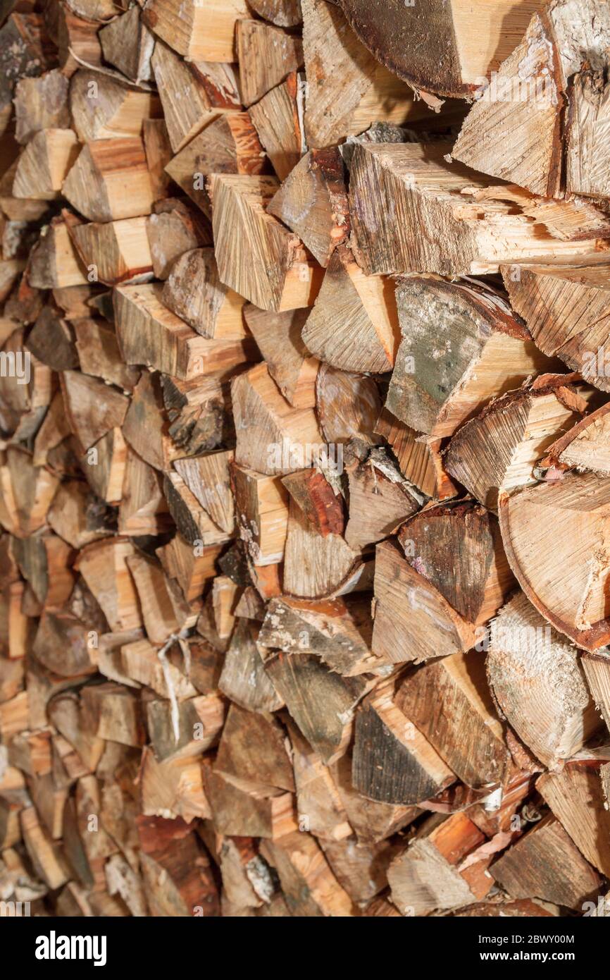 Pinned birch wood are in a pile in drevenice Stock Photo - Alamy