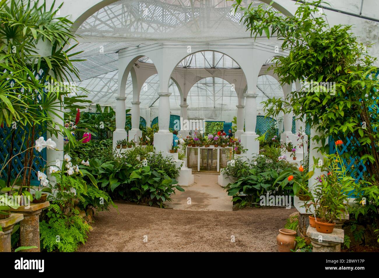 Inside to orchid house at the botanical garden in Rio de Janeiro ...