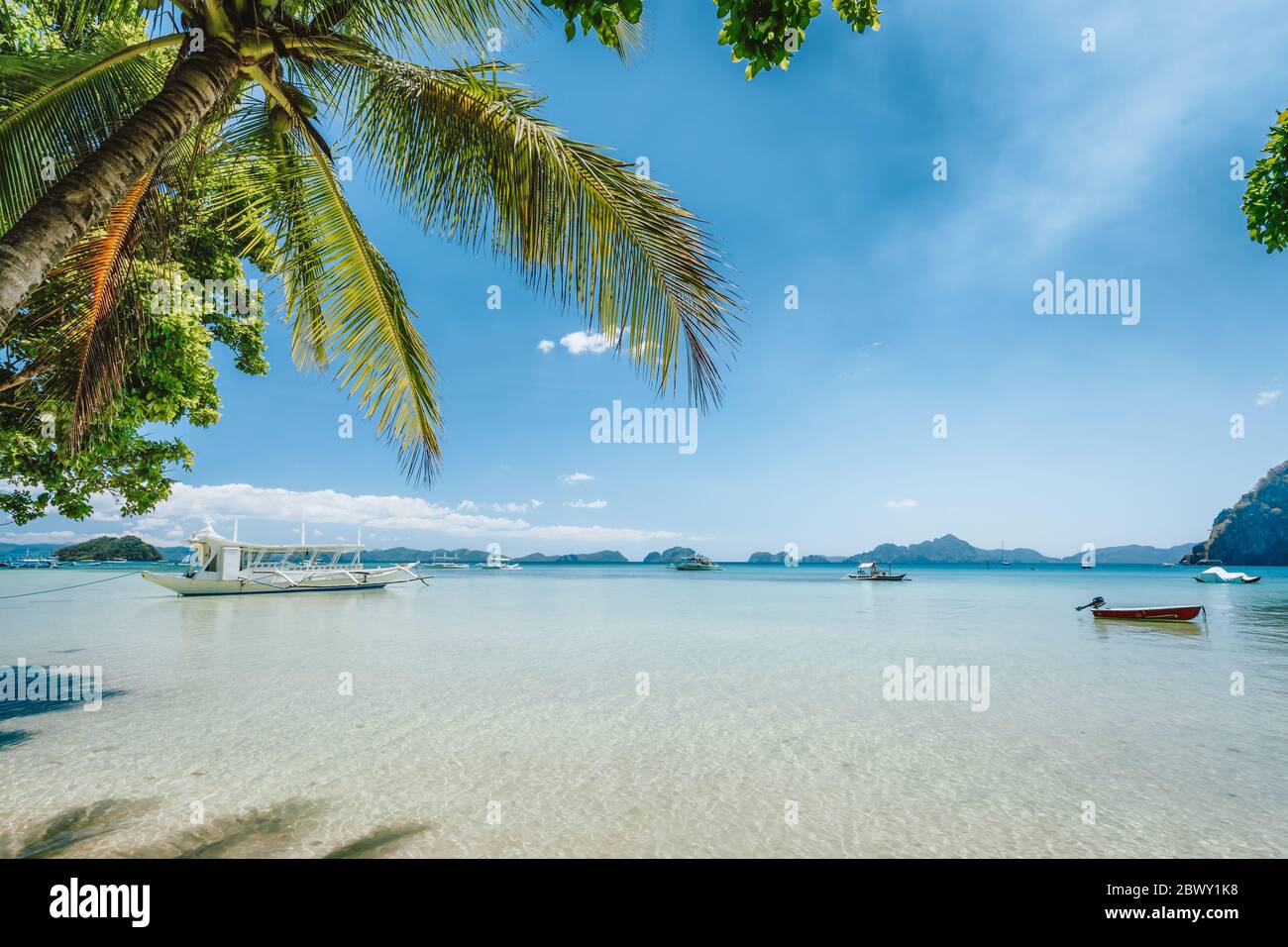 El Nido, Palawan island, Philippines. Palm trees of Corong Corong beach ...