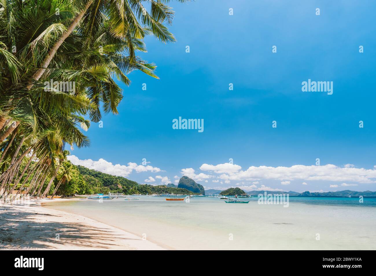 Palm trees of Corong Corong beach with traditional boats and blue sky ...