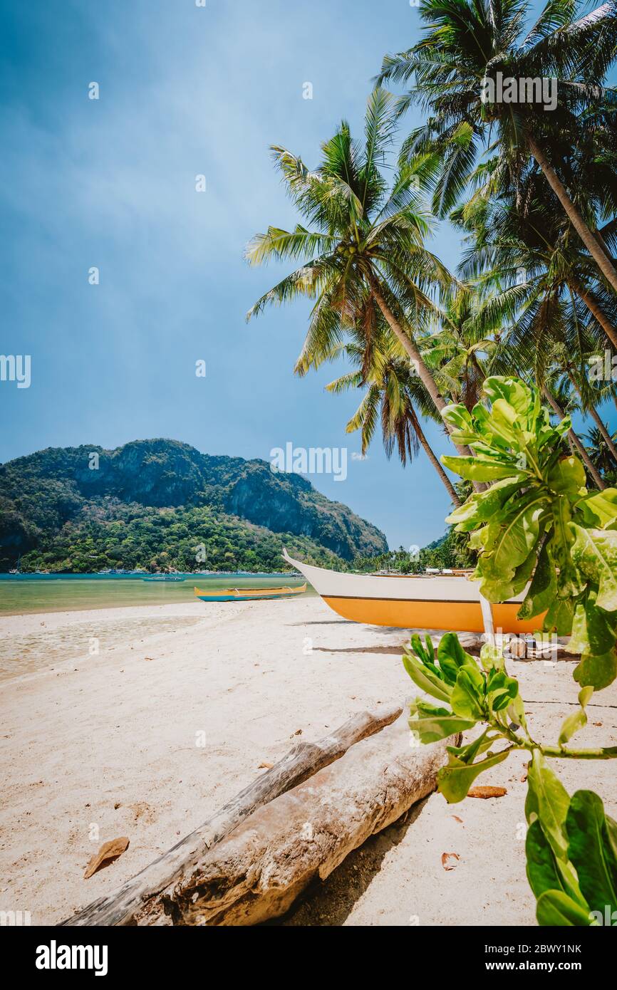 Philippines beach landscape - Local banca boat under palm trees at ...