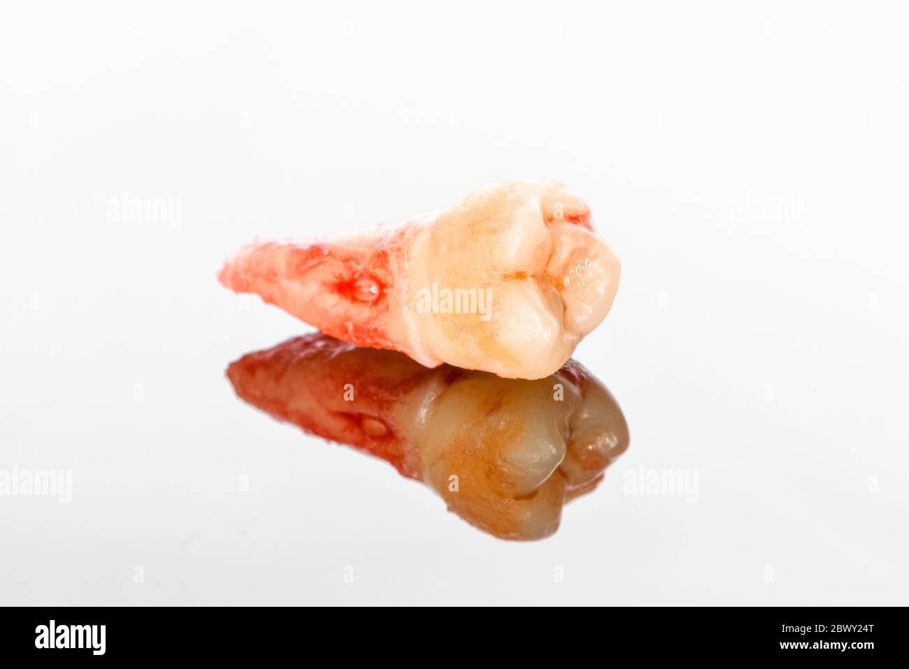 Horizontal color image with a back view of a isolated left upper third ...