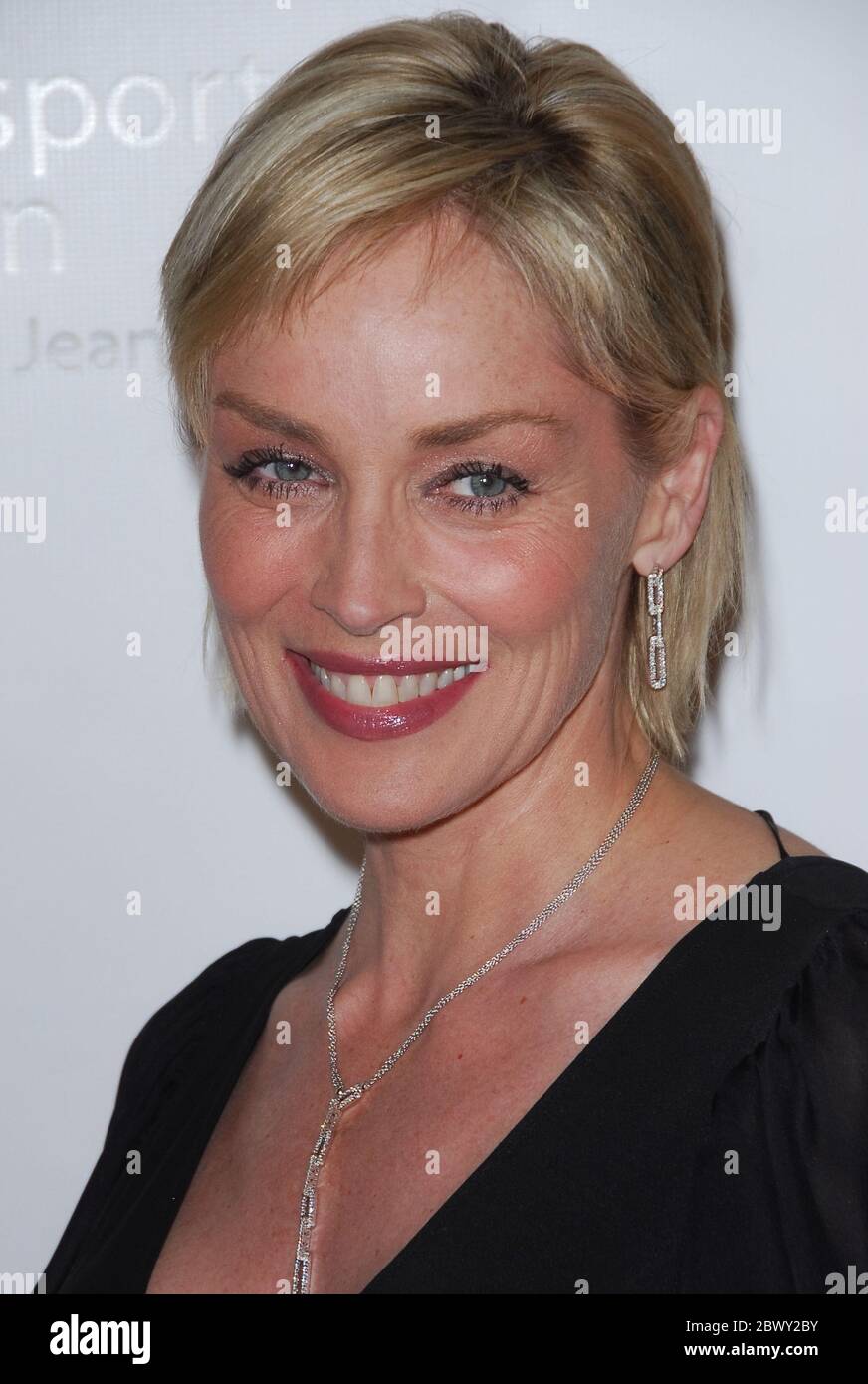 Sharon Stone at the Women's Sports Foundation Presents "The Billies ...
