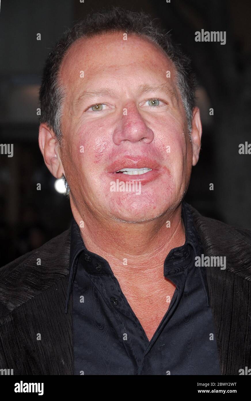 Gary Shandling at the World Premiere of "Knocked Up" held at the Mann's ...