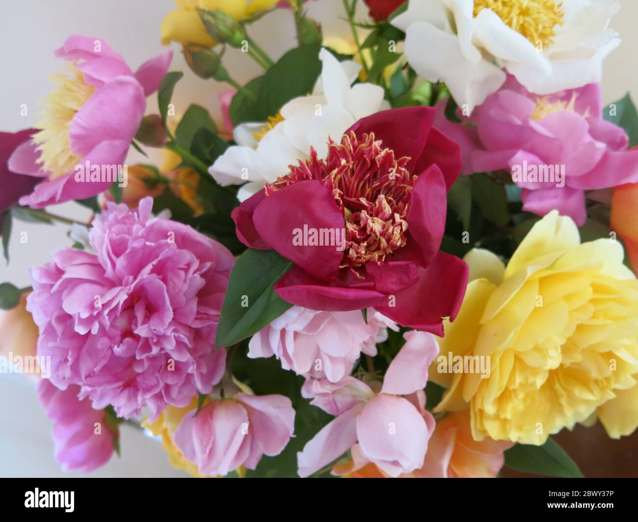 Big and blowsy cut flowers for the house, a montage of colourful roses ...